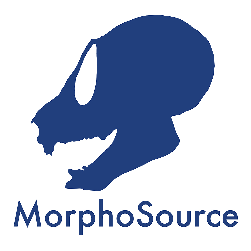 MorphoSource · GitLab